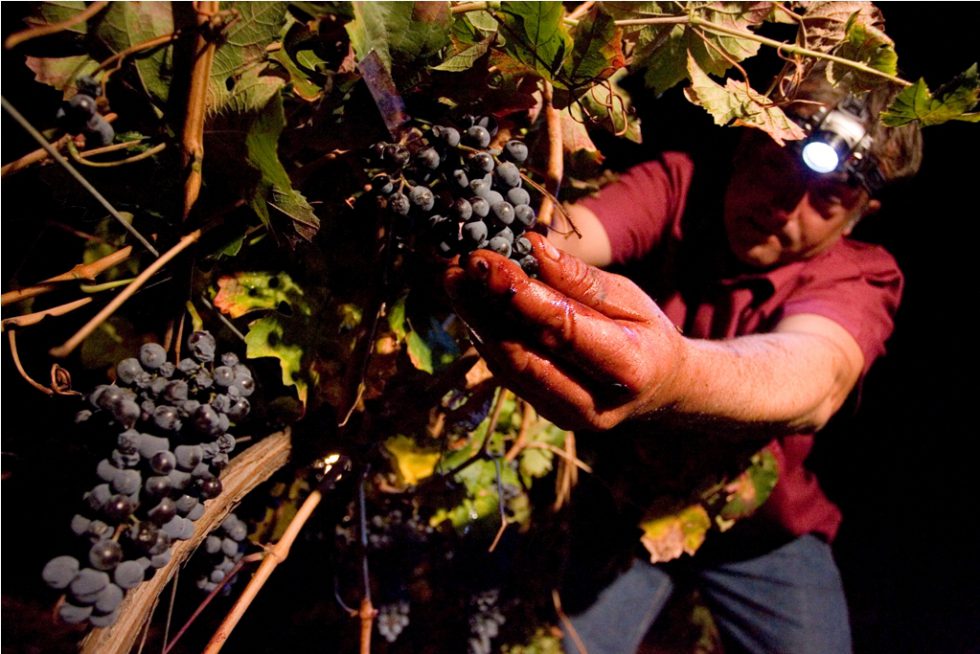 Gravity Flow winery | Discover us | Bodegas Las Encomiendas